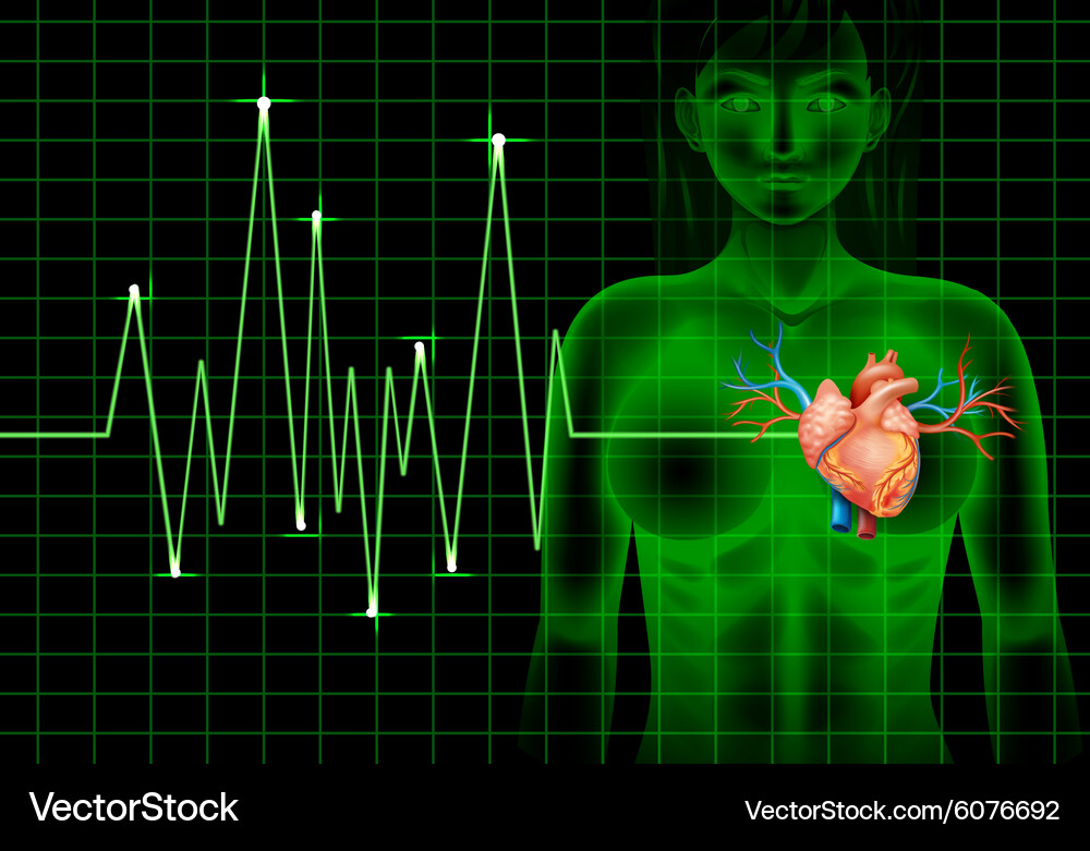 Heartbeat of human and graph Royalty Free Vector Image