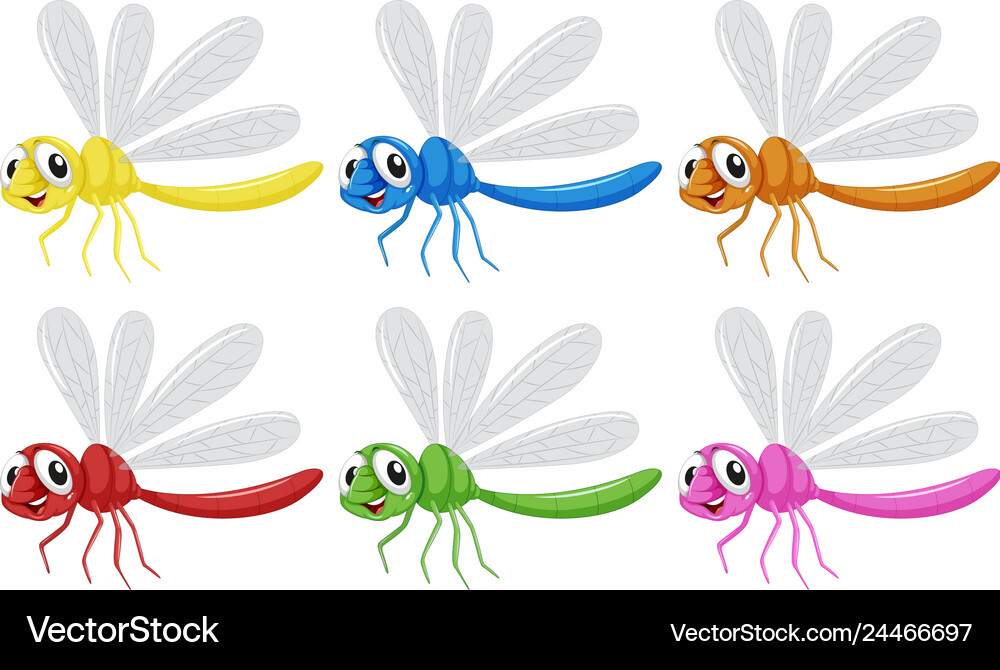 Set of dragonfly character Royalty Free Vector Image