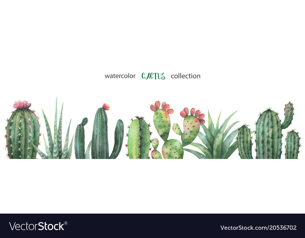 Watercolor banner cacti and succulent Royalty Free Vector