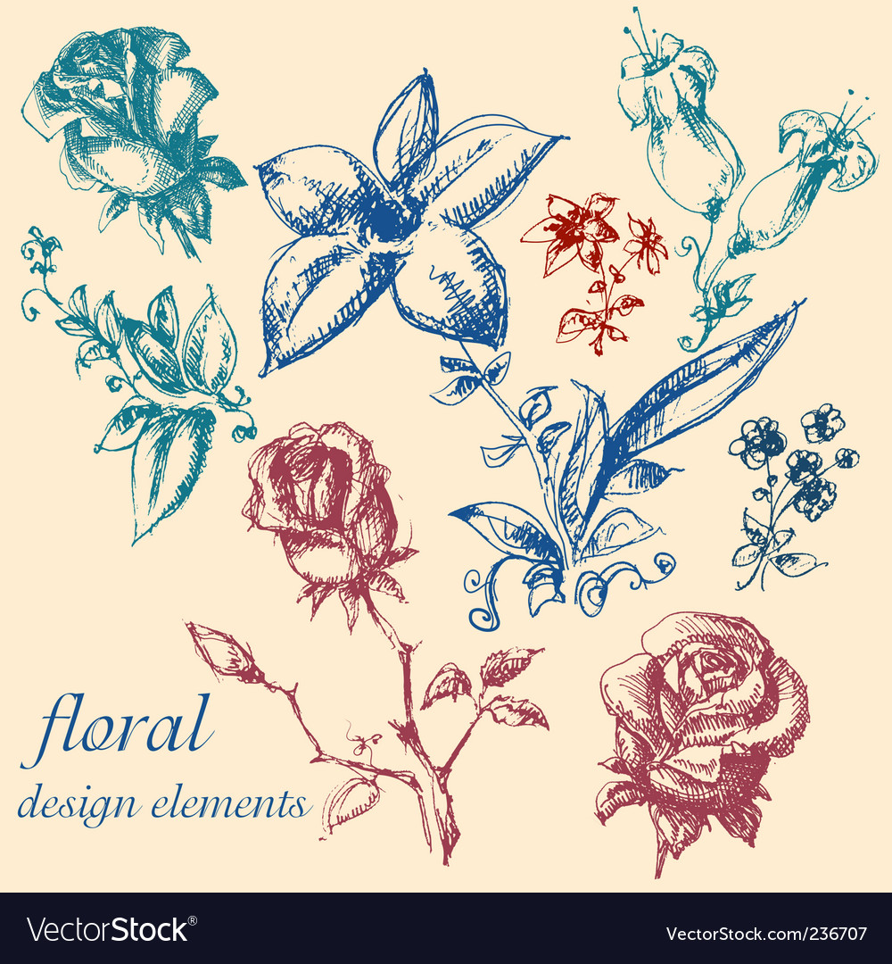 Floral design elements Royalty Free Vector Image