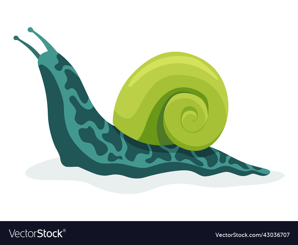 Snail crawling snailfish colour shell colourful Vector Image Snail crawling snailfish colour shell colourful Vector Image