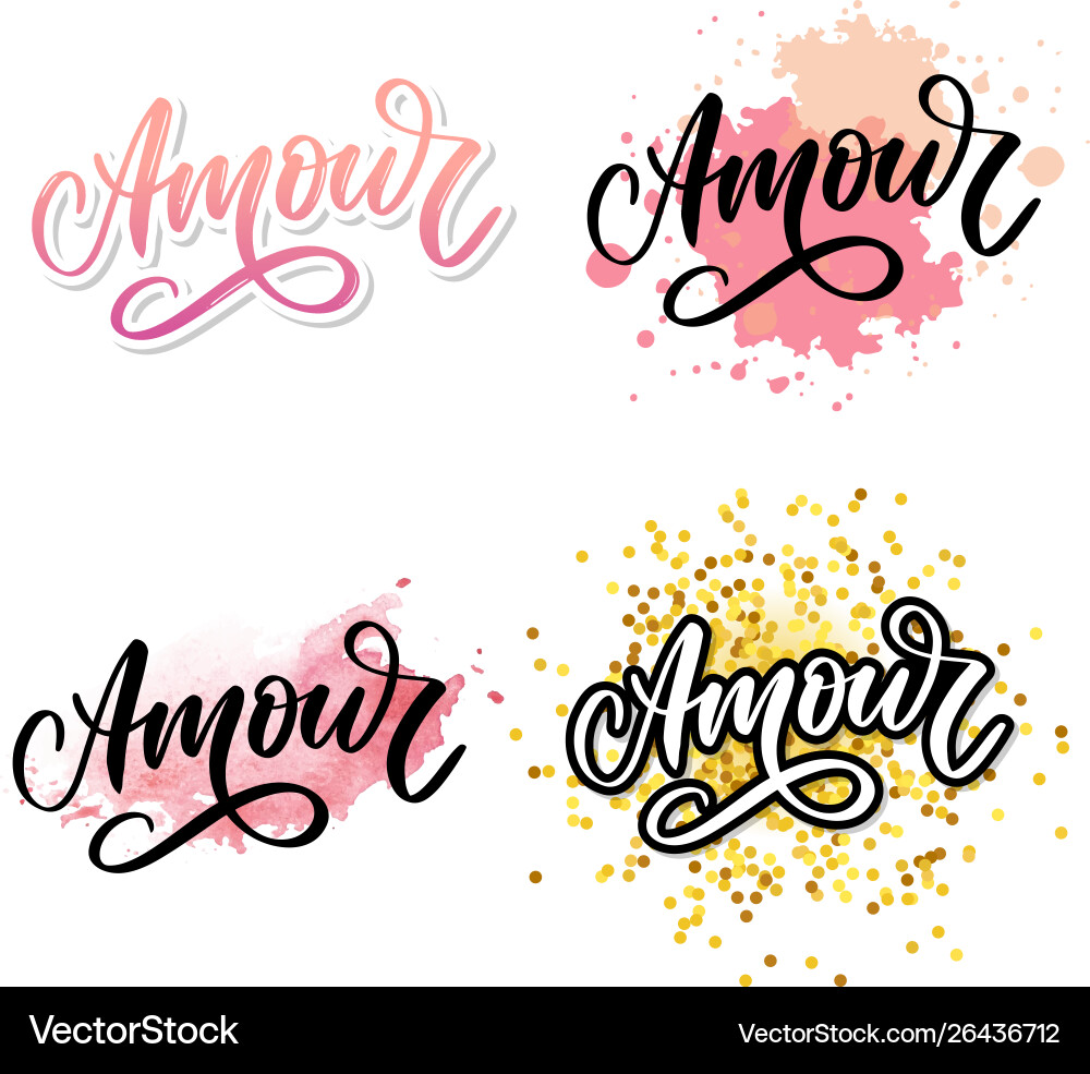 Amour handwritten lettering with hand drawn Vector Image