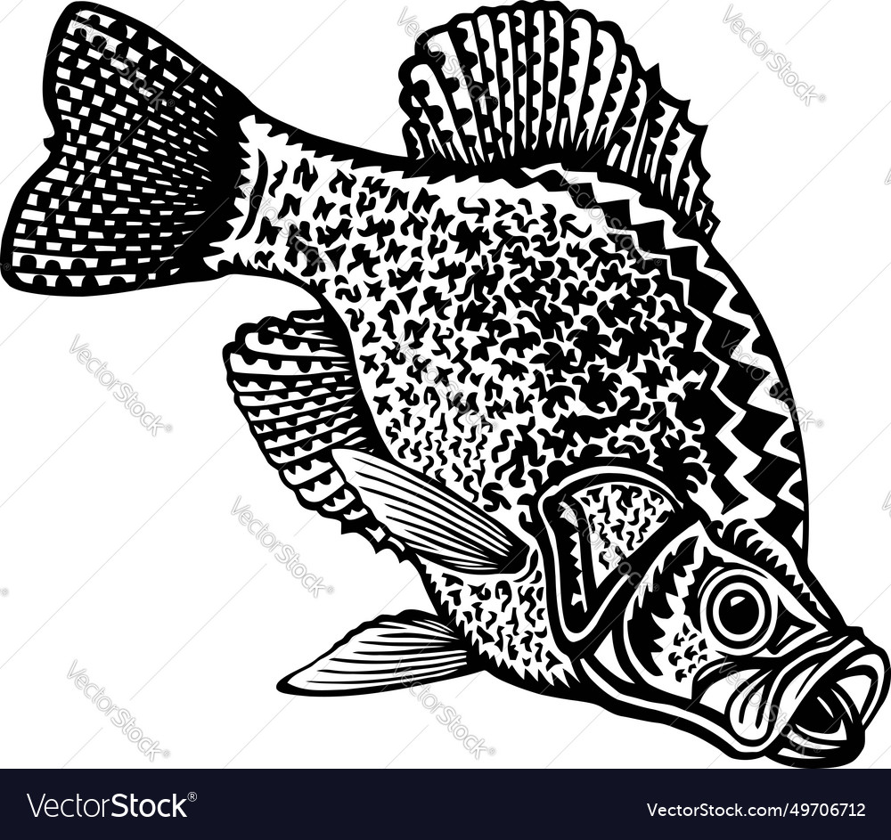 Carp - american fishes logo fish Royalty Free Vector Image