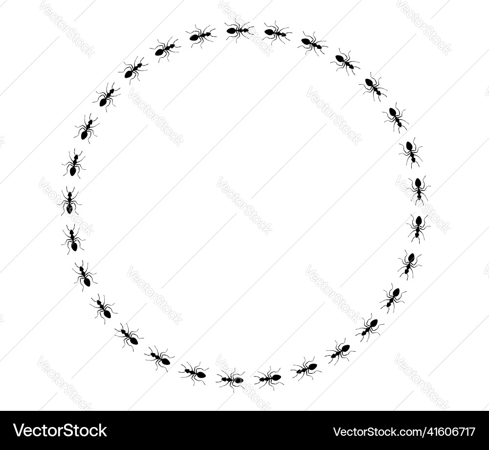 Ants trail circle frame line of working Royalty Free Vector
