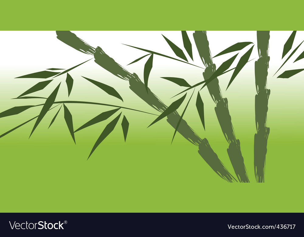 Bamboo background Royalty Free Vector Image - VectorStock