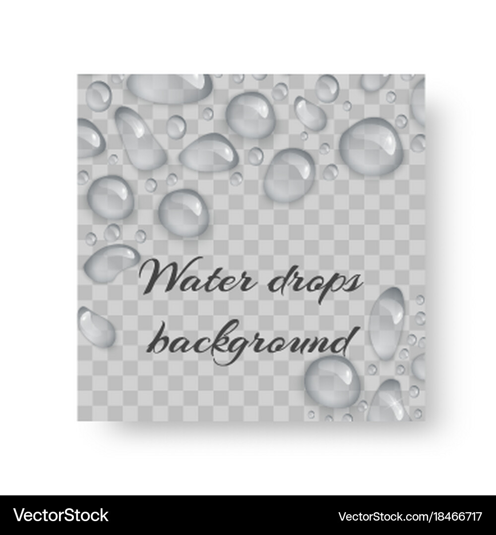 Invitation with drops of dew Royalty Free Vector Image