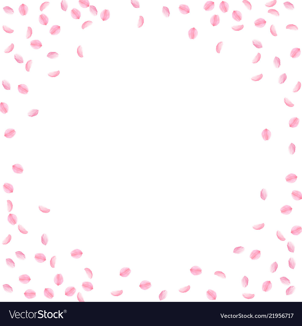 Sakura petals falling down Royalty Free Vector Image
