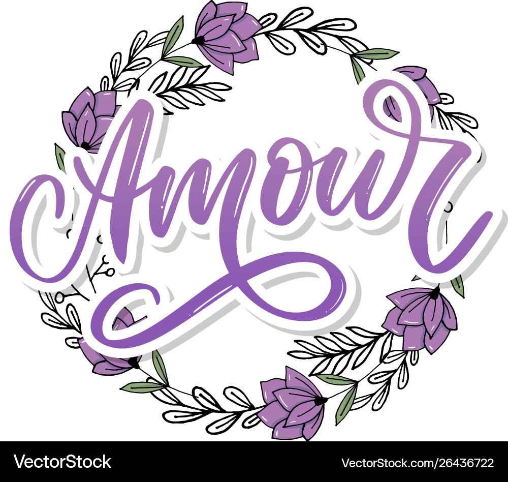 Amour handwritten lettering with hand drawn Vector Image