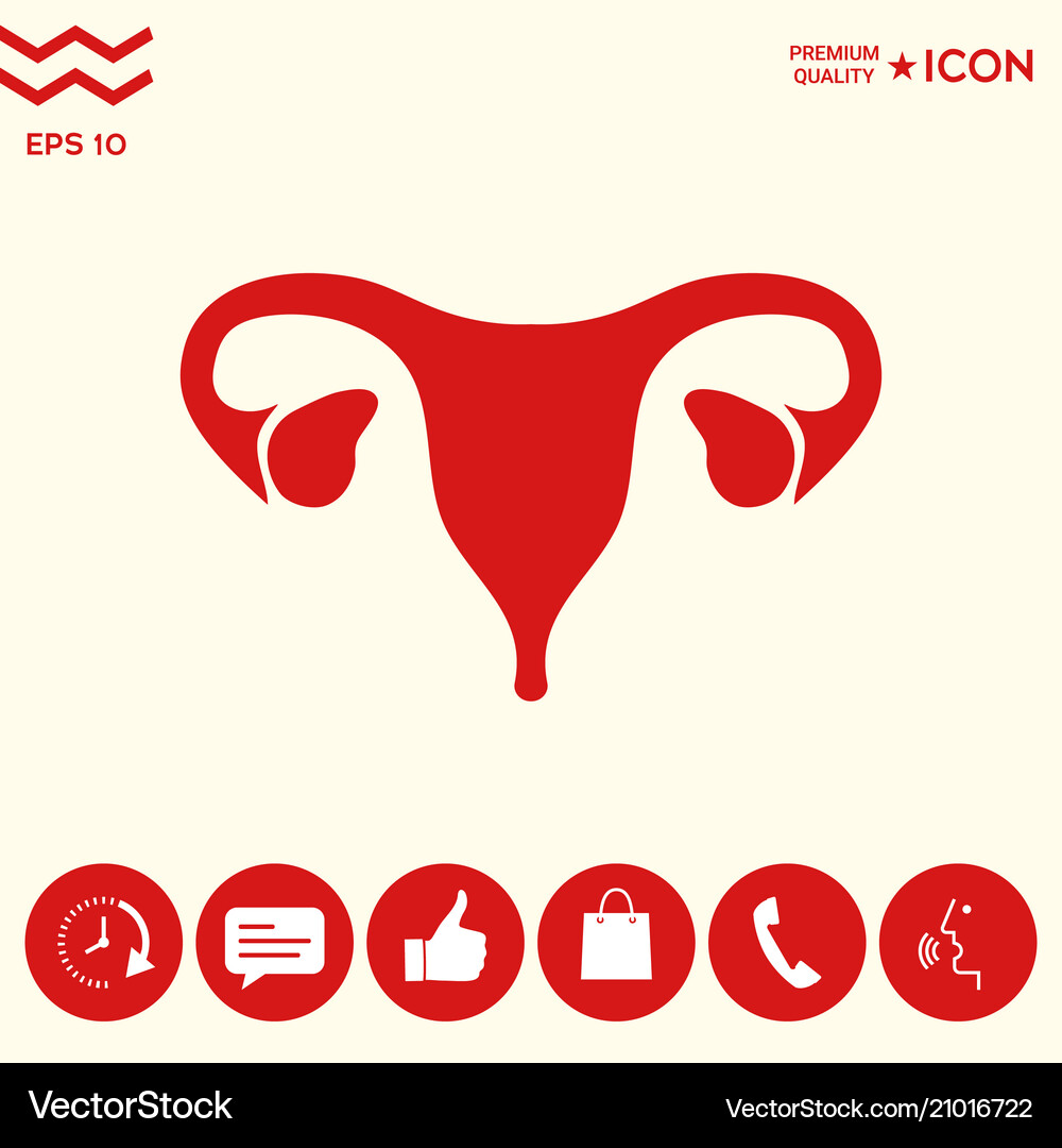 Human organs female uterus icon Royalty Free Vector Image