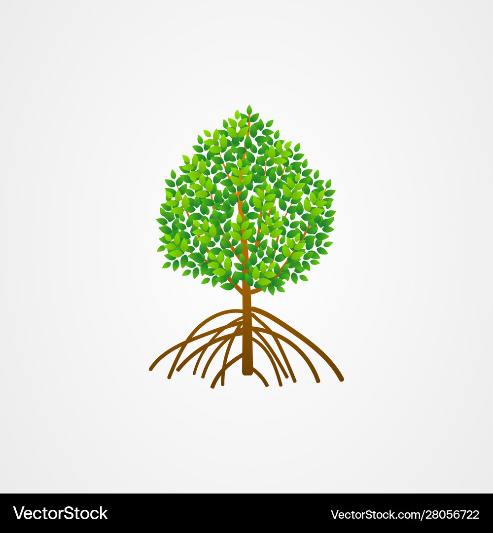 Tree and roots mangrove mangrove plant Royalty Free Vector