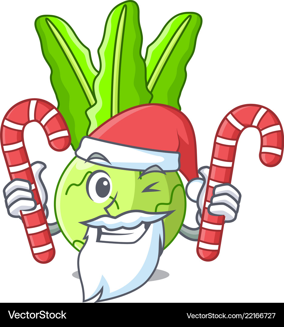 Santa with candy fresh cabbage kohlrabi Royalty Free Vector