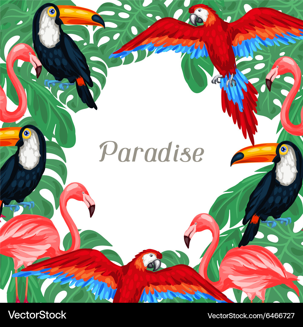 Tropical birds background design with palm leaves Vector Image