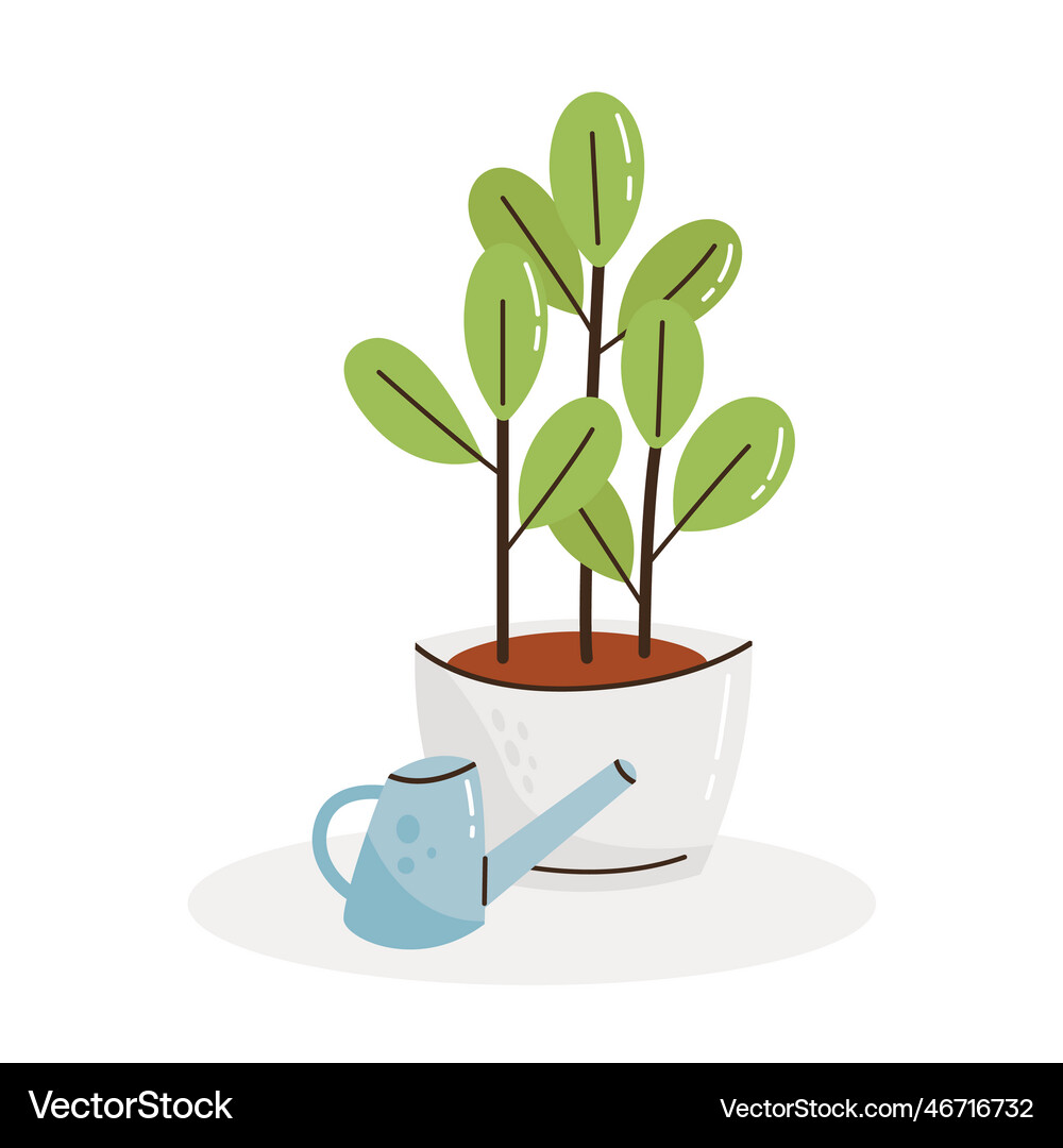 Potted plant and watering can Royalty Free Vector Image