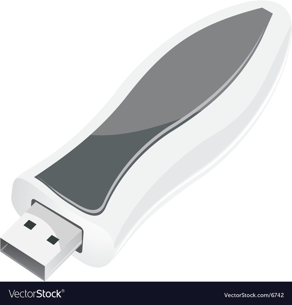 Usb flash Royalty Free Vector Image - VectorStock
