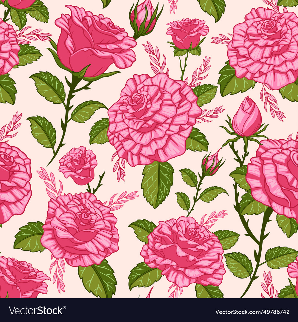 Vintage pink rose flower seamless pattern hand Vector Image