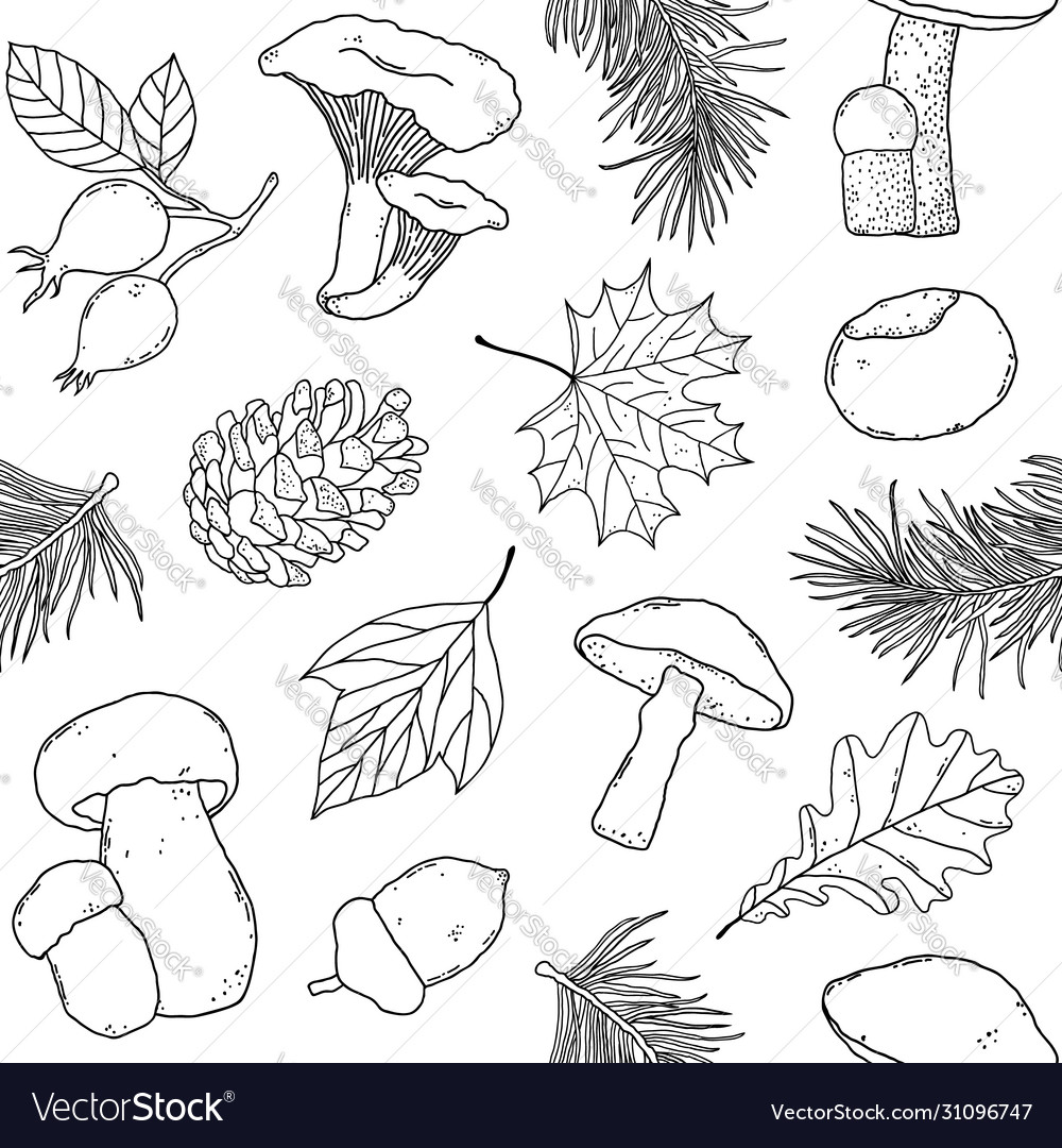 Pattern with forest items Royalty Free Vector Image