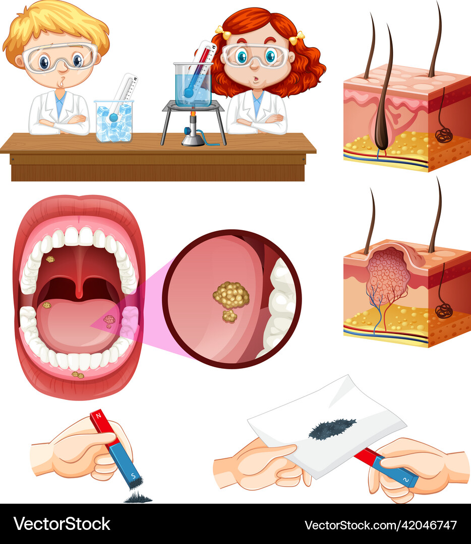 Set of equipment needed for science experiment Vector Image