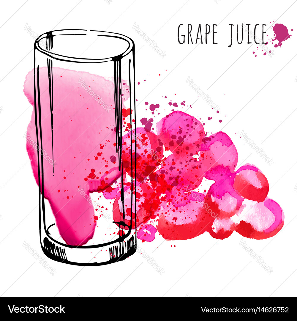 Grape juice in glass and grapevine Royalty Free Vector Image