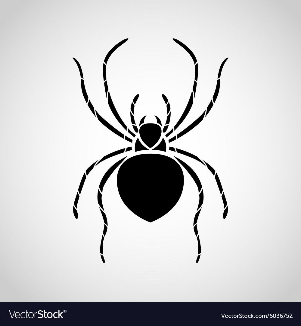 Spider Royalty Free Vector Image - VectorStock
