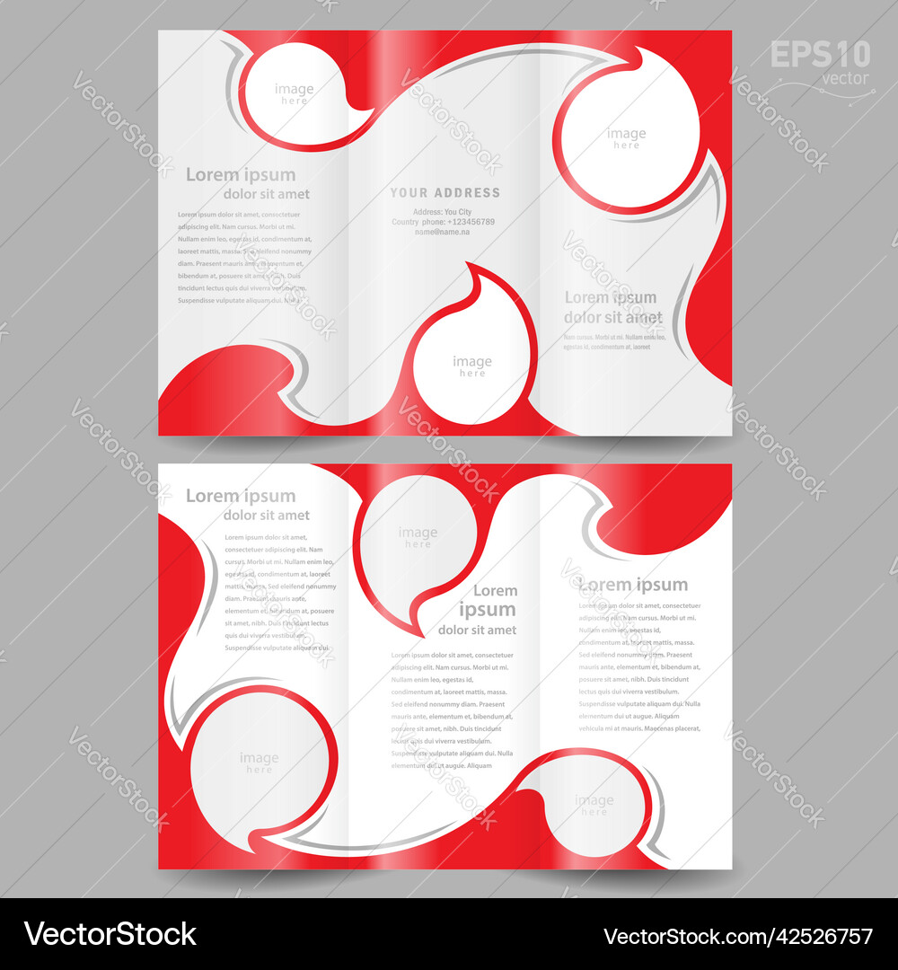 Brochure design template twist red white color Vector Image