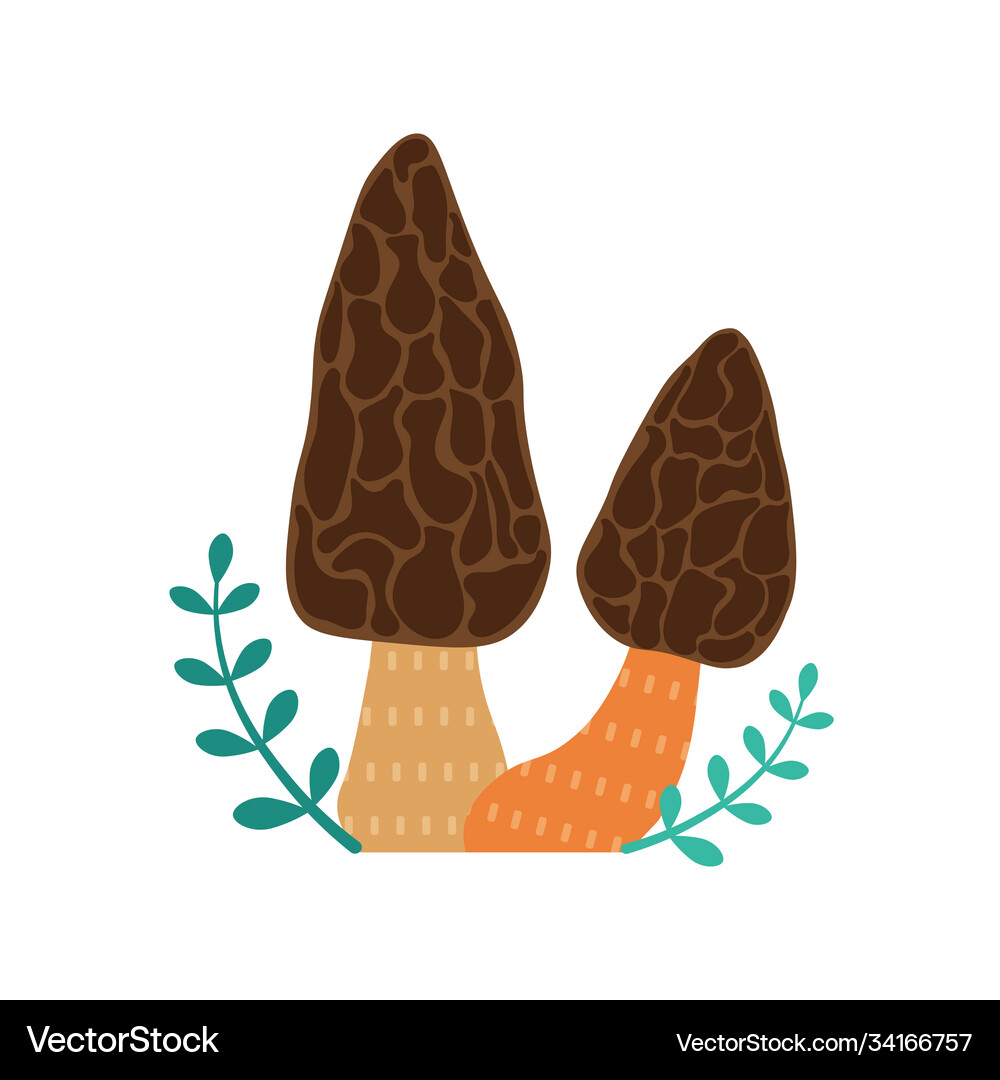 Forest mushroom morels icon in cartoon style Vector Image