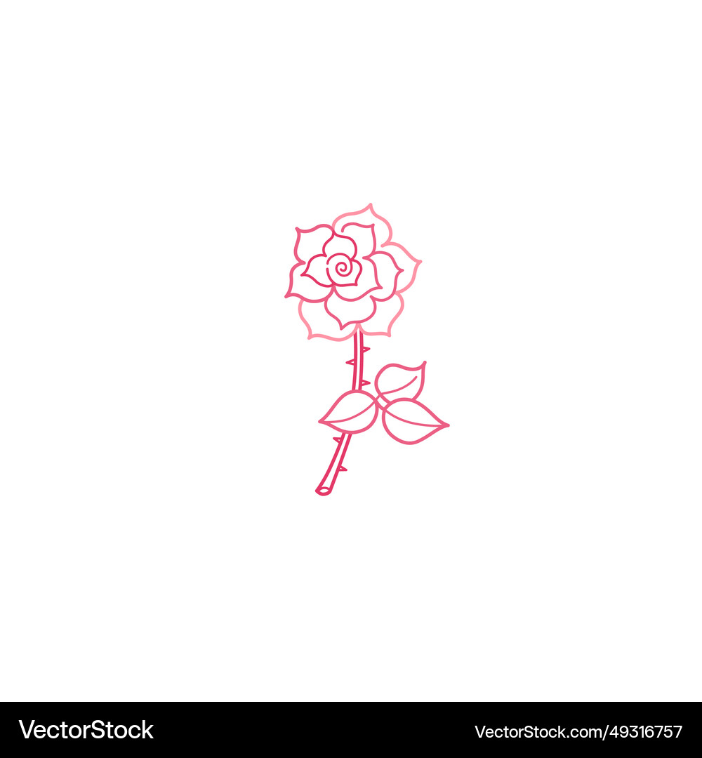 Pink rose isolated on a white background Vector Image