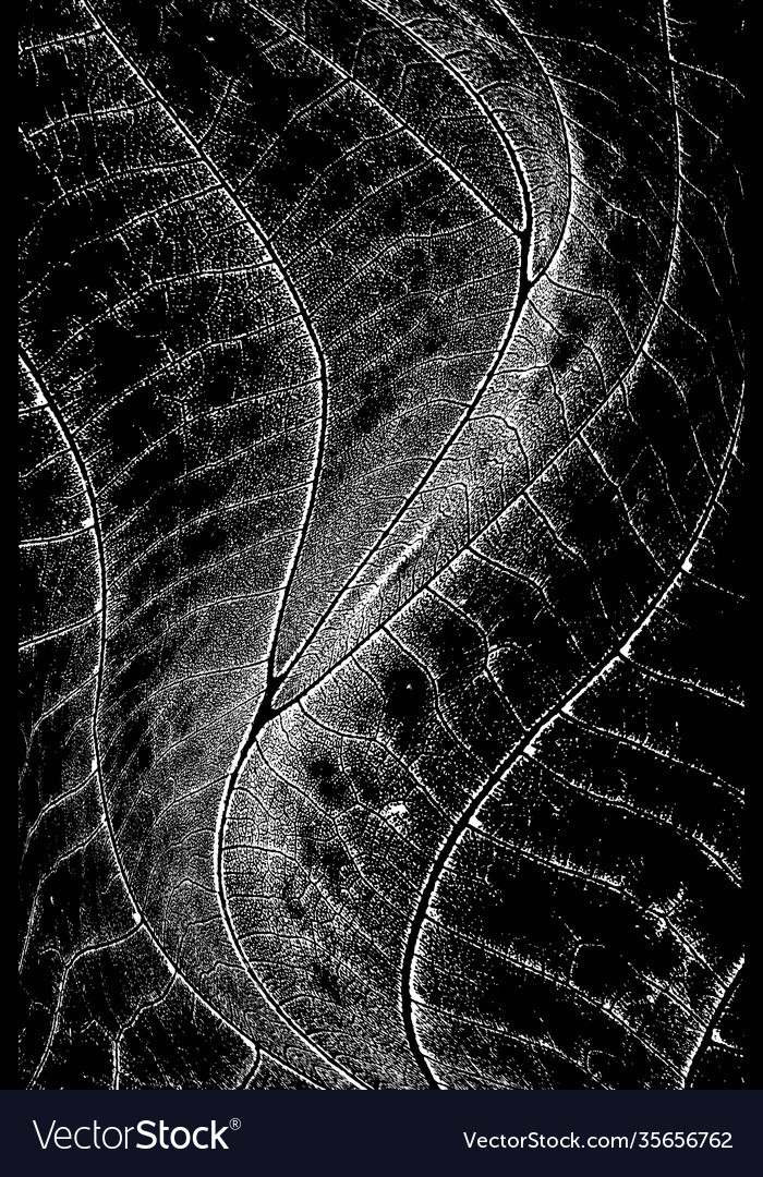 Vertical background wavy leaf Royalty Free Vector Image