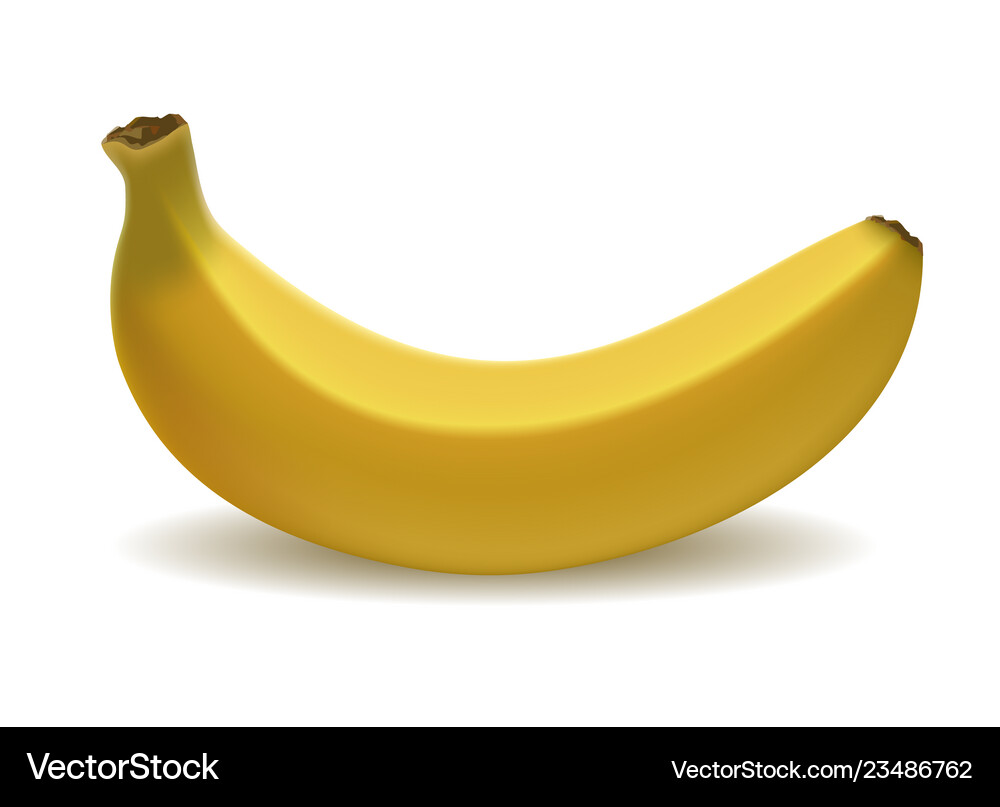 Yellow banana isolated on white background Vector Image