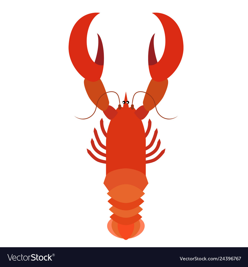 Crawfish flat Royalty Free Vector Image - VectorStock