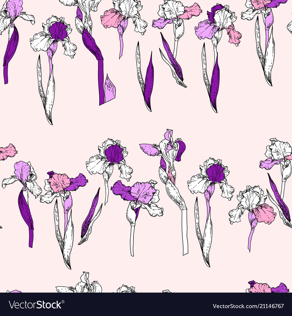Floral pattern row Royalty Free Vector Image - VectorStock