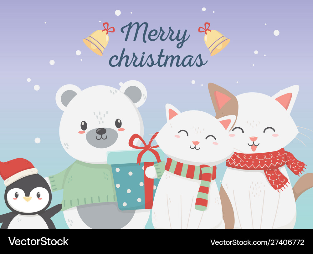 Cute bear cats and penguin with gift celebration Vector Image