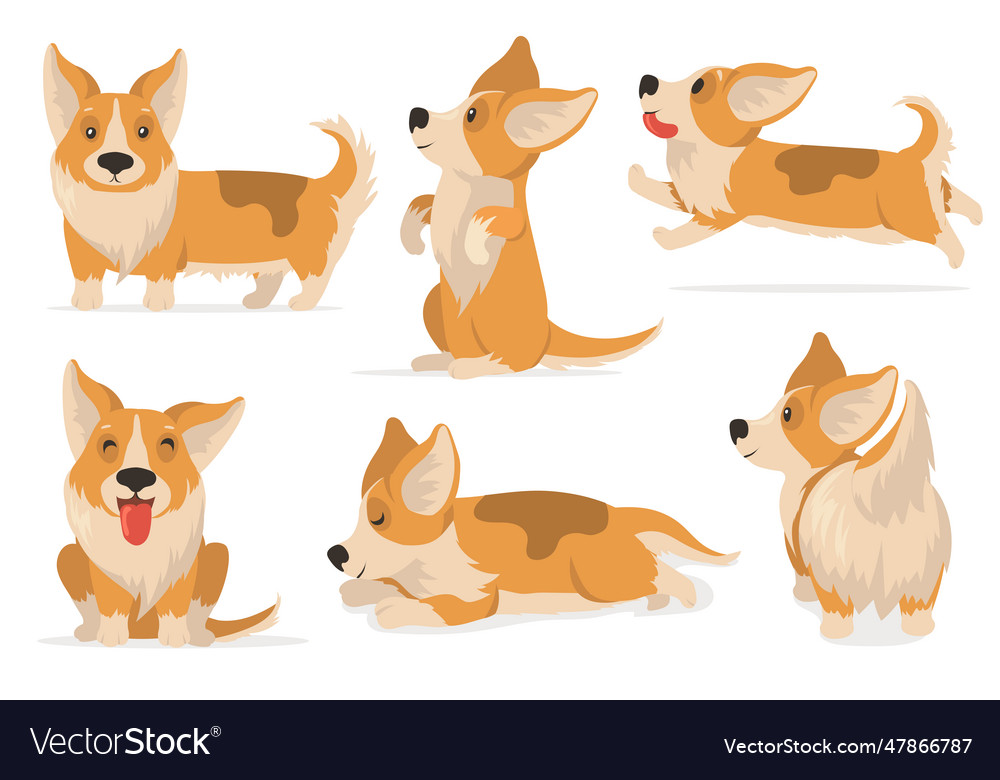 Friendly corgi set Royalty Free Vector Image - VectorStock