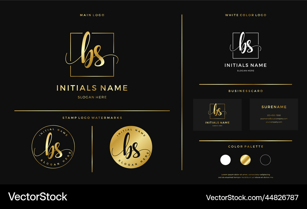Golden initial bs letter b s handwriting logo Vector Image