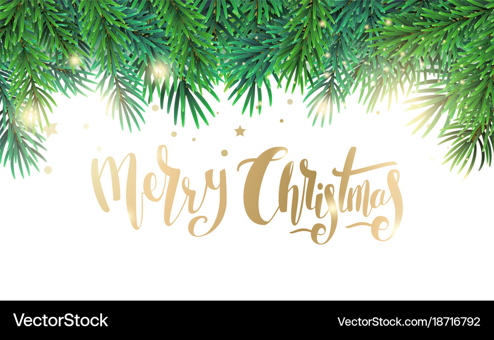 Christmas card with text and fir tree branches Vector Image