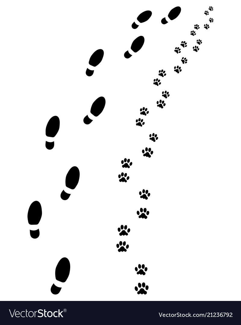 Footprints of man and dog Royalty Free Vector Image