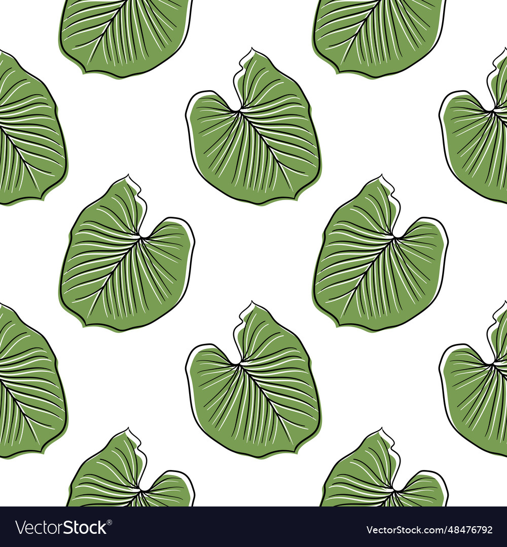 Leaf hand drawn background Royalty Free Vector Image
