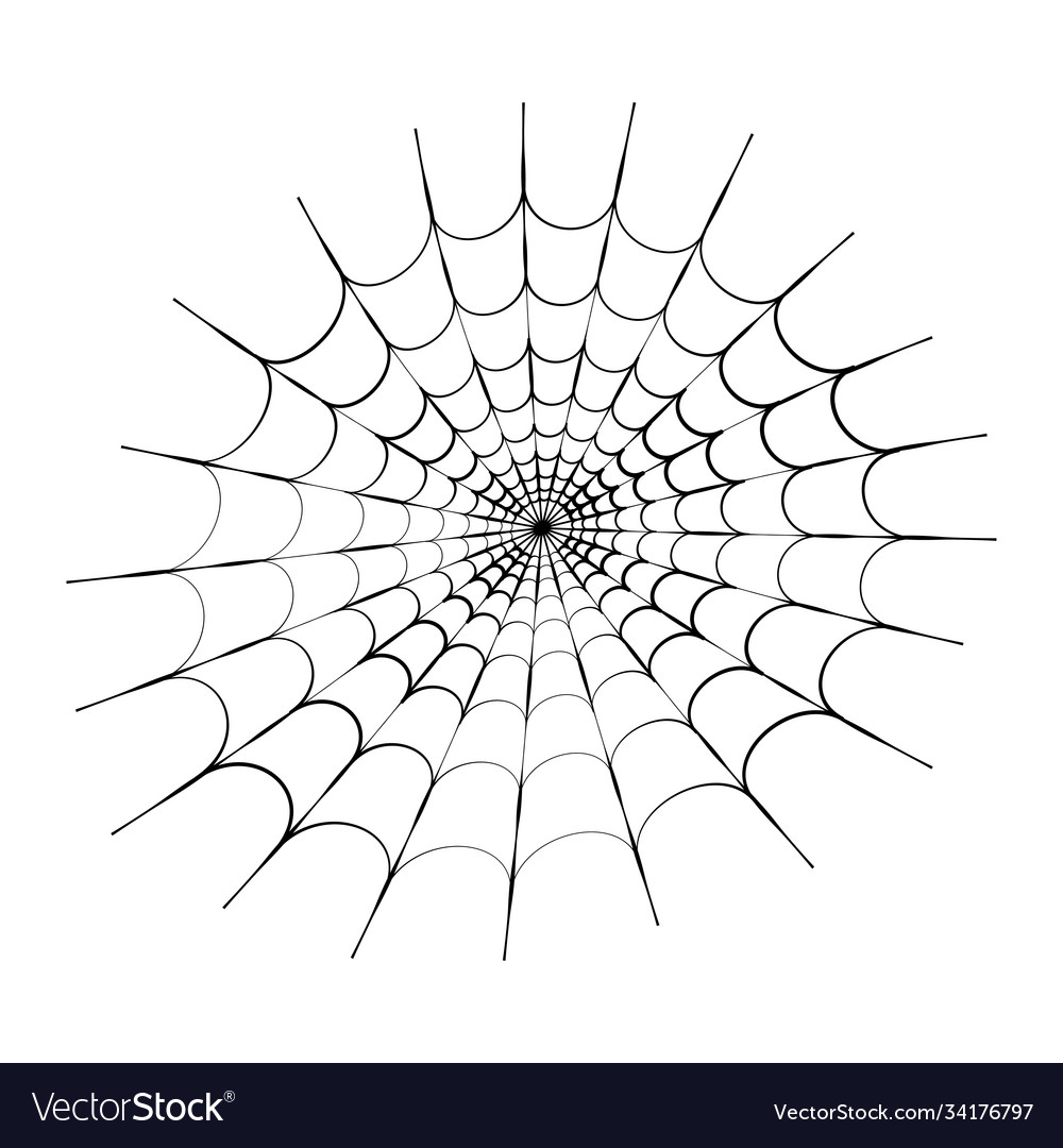 Spider web concept Royalty Free Vector Image - VectorStock