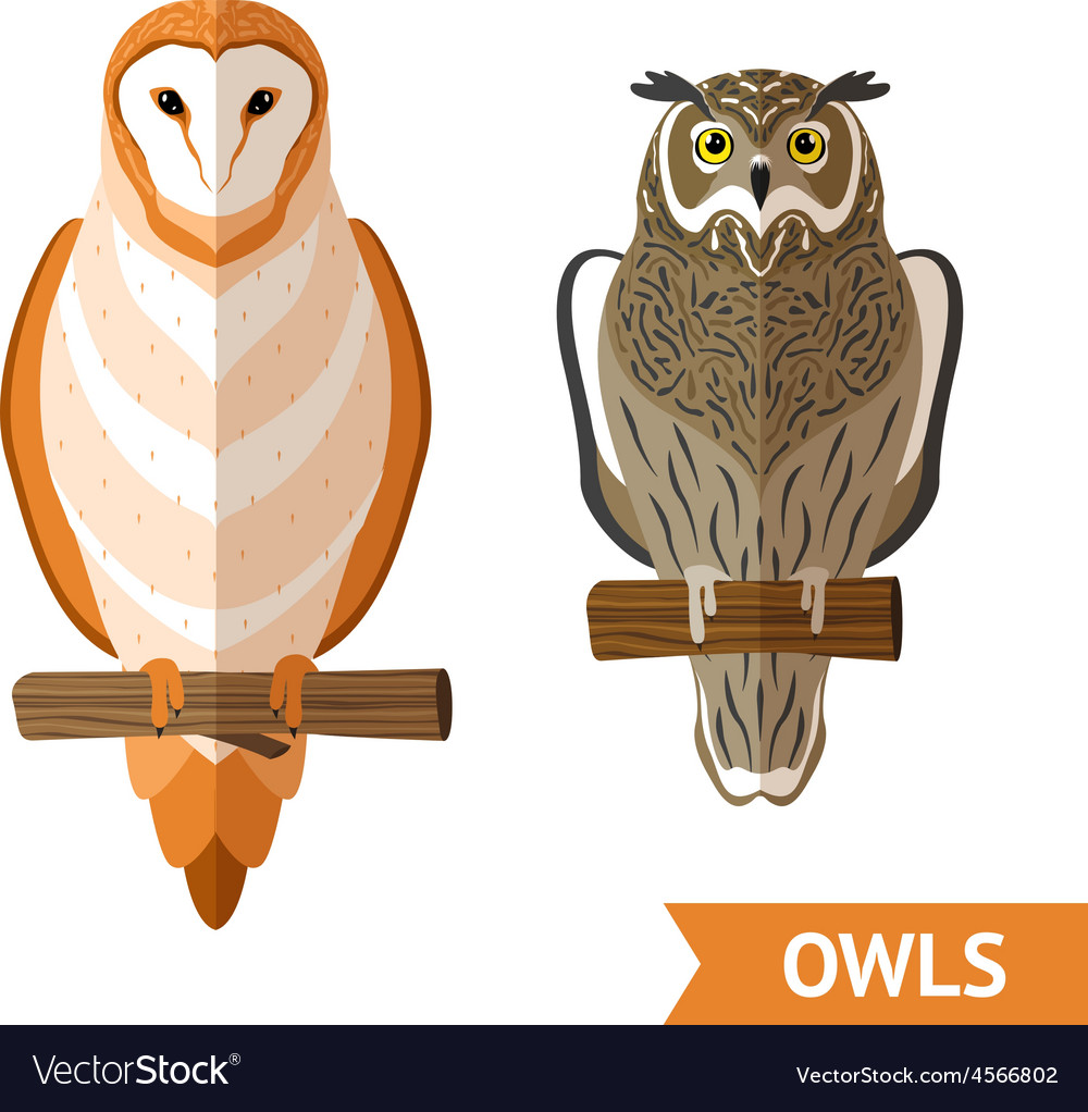 Owls Front Set Royalty Free Vector Image - VectorStock