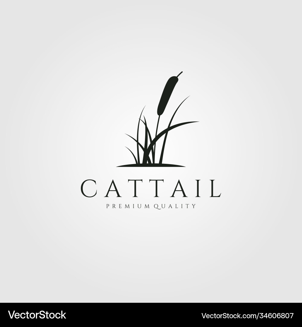 Cattail premium logo design cattail silhouette Vector Image
