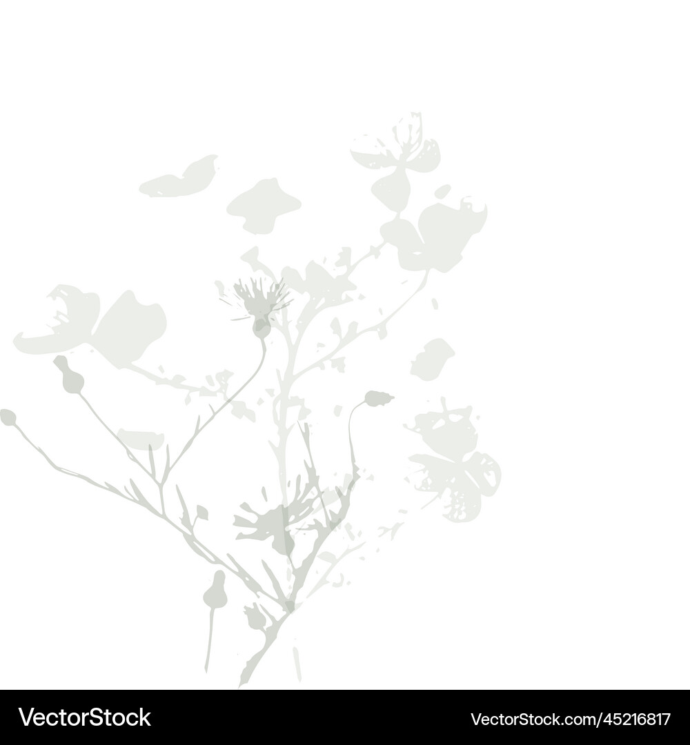 Delicate pattern with wild flowers Royalty Free Vector Image