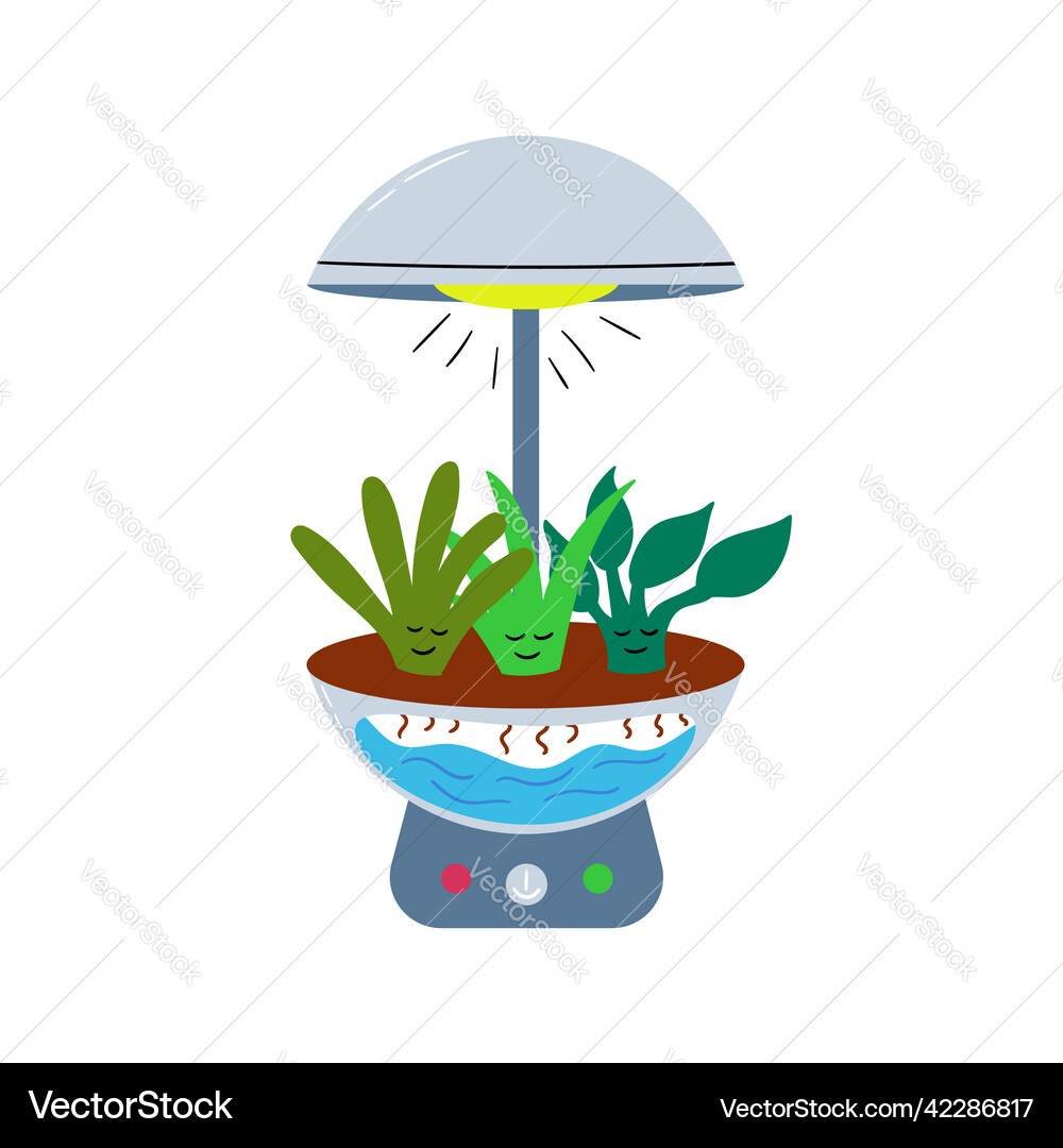 Modern hydroponics for growing grains and seeds Vector Image
