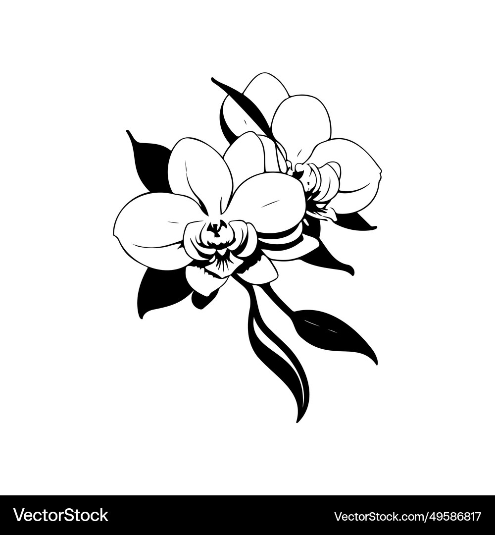 Orchid Floral Icon - Black & White Royalty Free Vector