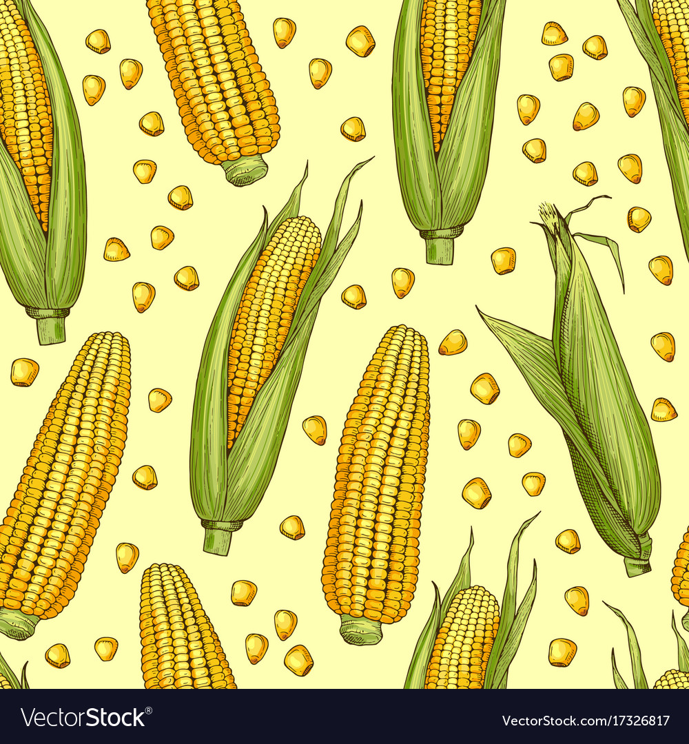 Seamless patterns with corn Royalty Free Vector Image