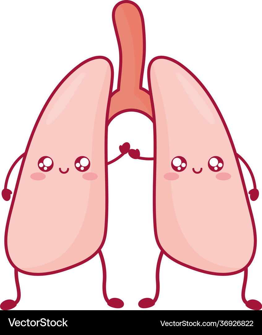 Cute Lungs Icons - Anatomy Royalty Free Vector Image