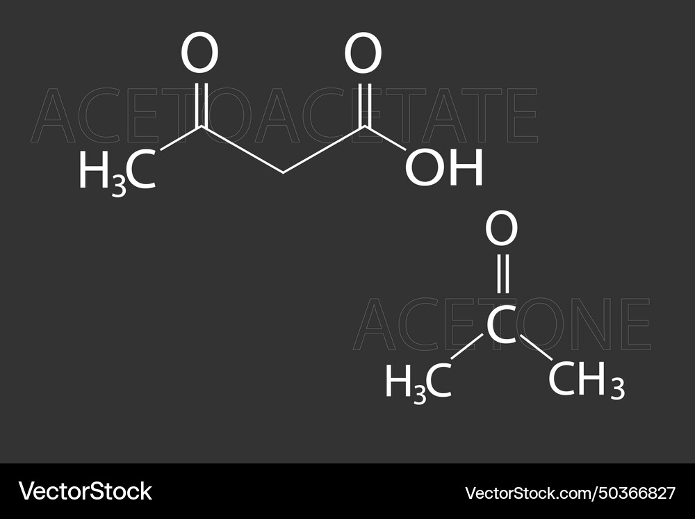Lactic acid molecular skeletal chemical formula Vector Image