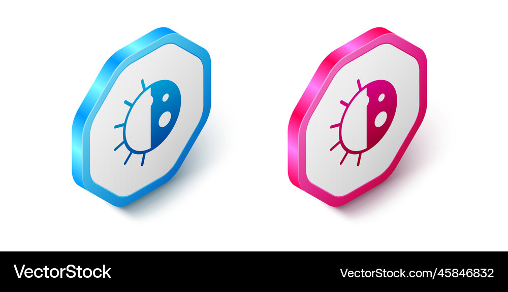 Isometric day night cycle icon isolated on white Vector Image