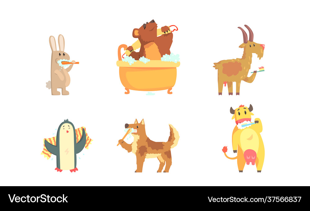 Cute animals grooming bathing and washing Vector Image
