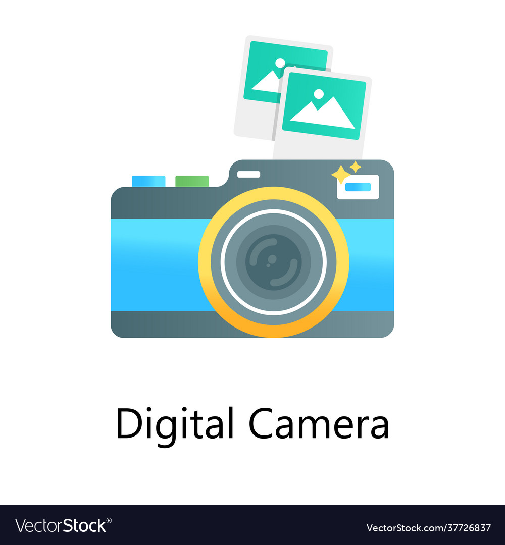 Digital camera Royalty Free Vector Image - VectorStock