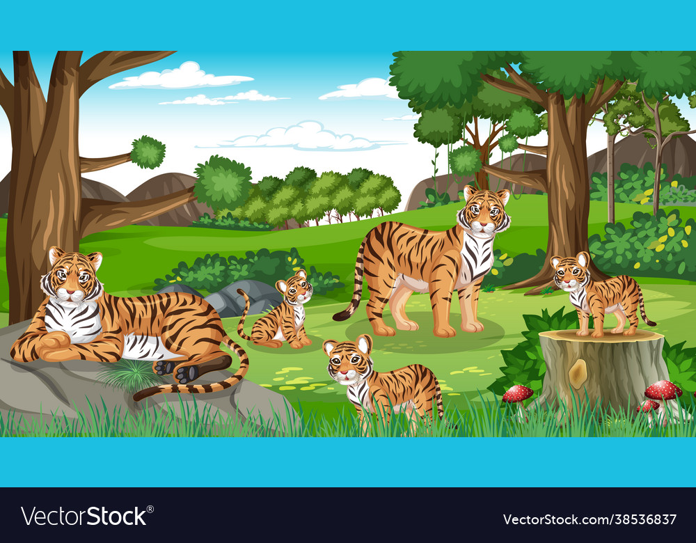 Forest or rainforest scene with tiger family Vector Image