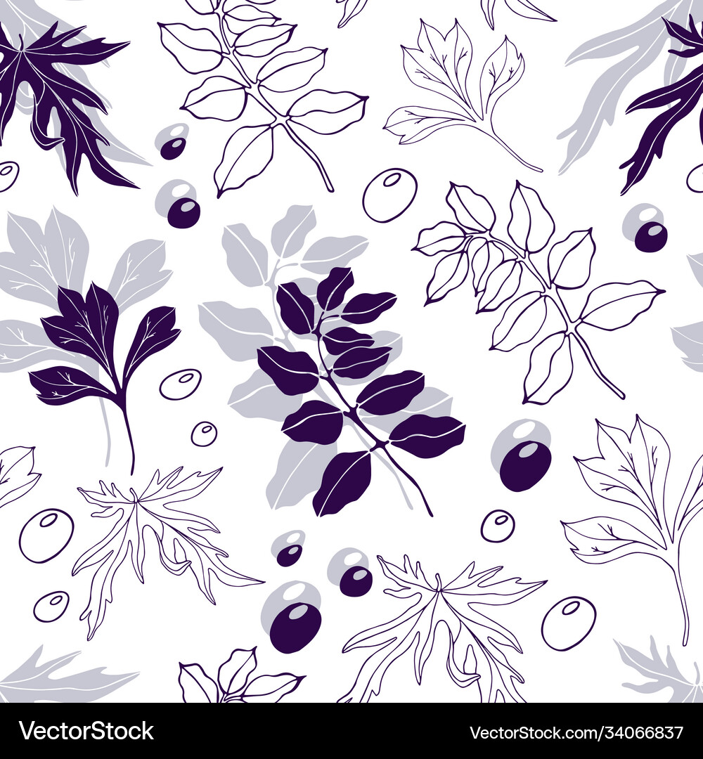 Leaves their shadows with outlines and raindrops Vector Image